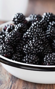 BERRYWORLD IBERIA, S.L.U. | Freshuelva