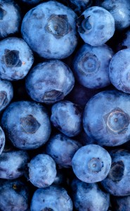 TIERRAS DEL CONDADO, S. L. | Freshuelva